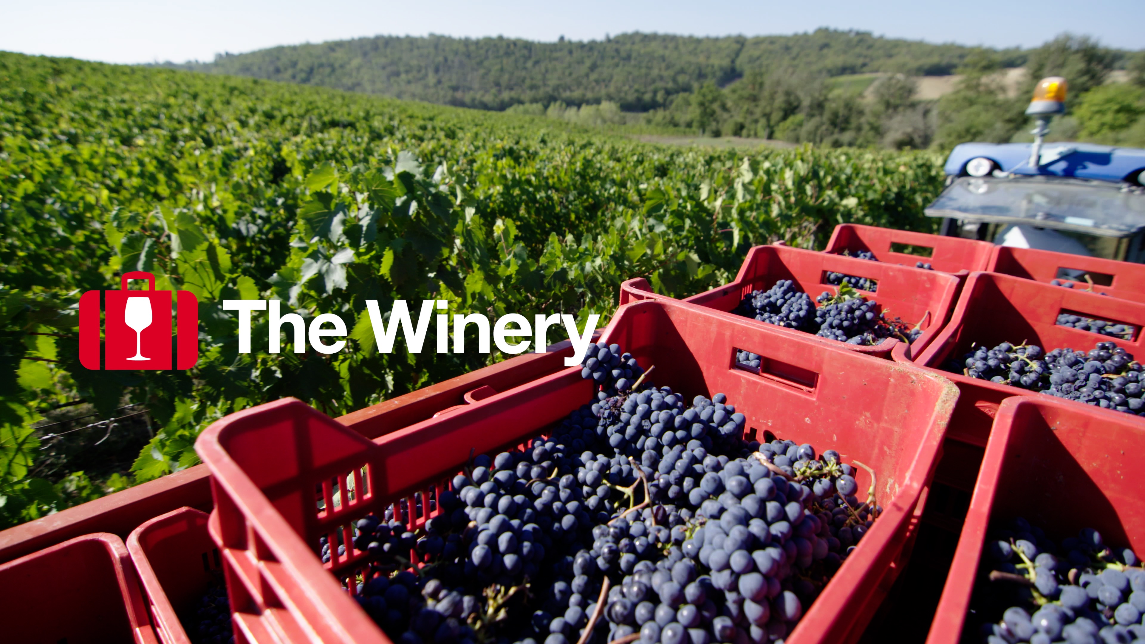 The Winery - television series, amazing travel itineraries, wine tours ...